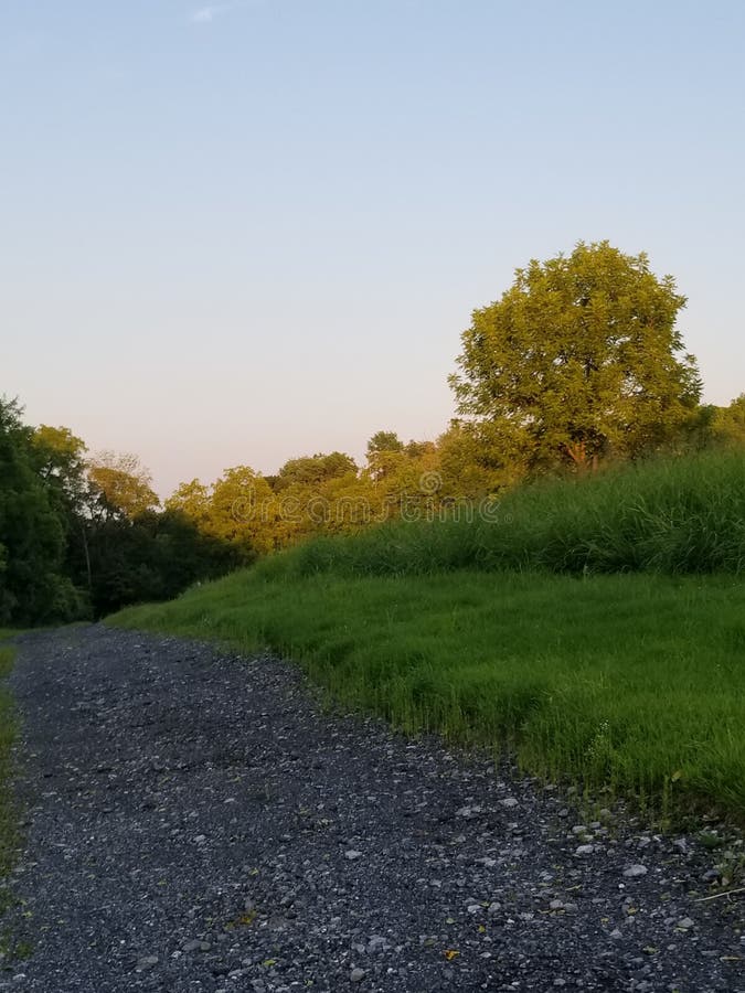 Nature walk stock image. Image of woods, trees, walk - 135188007