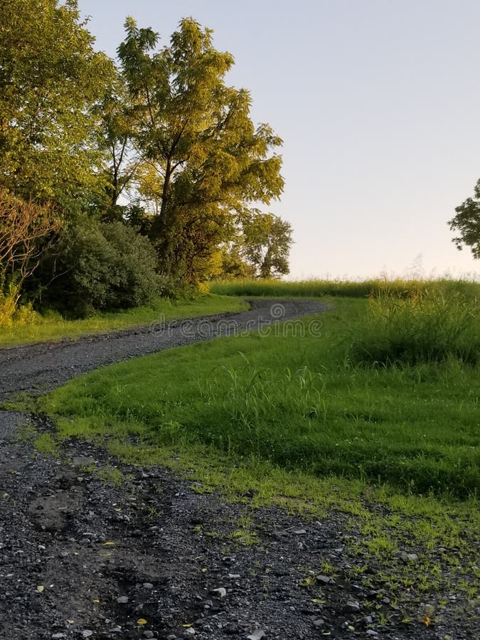 Nature walk stock photo. Image of beautiful, hike, woods - 135188010