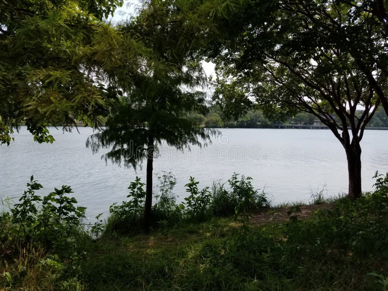 Nature Walk stock image. Image of natural, path, nature - 123612957