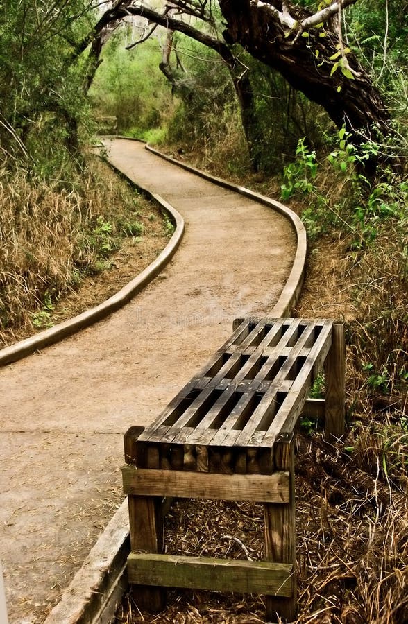 Nature Walk with a Rest Bench Stock Image - Image of area, peaceful ...