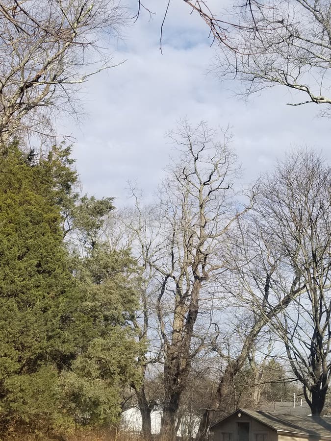 Nature Walk stock image. Image of nature, walk, trees - 134302541