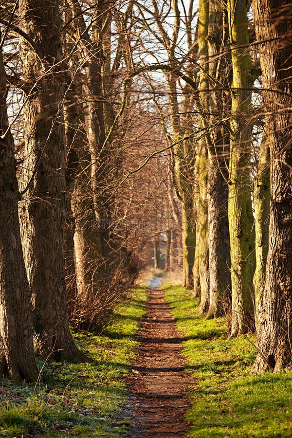 Nature walk tunnel stock image. Image of arches, love - 26808381