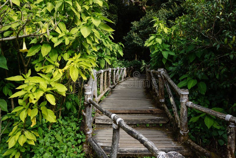 Nature walkway stock image. Image of walkway, summer - 89968043