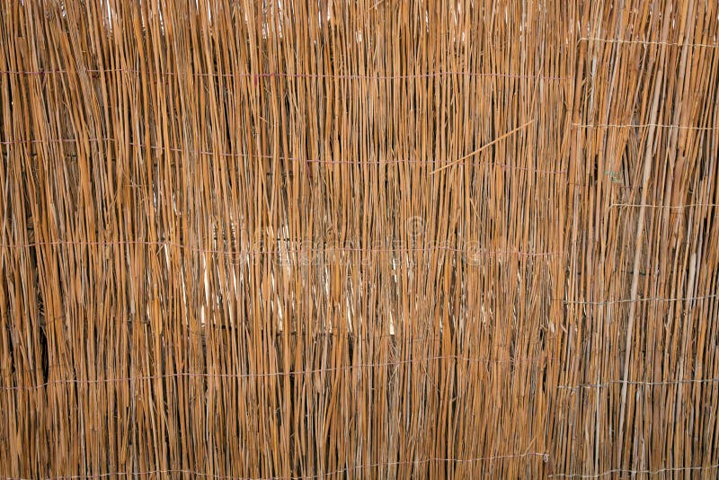 Nature Wall Shack Texture Egypt Location Stock Photos - Free & Royalty ...