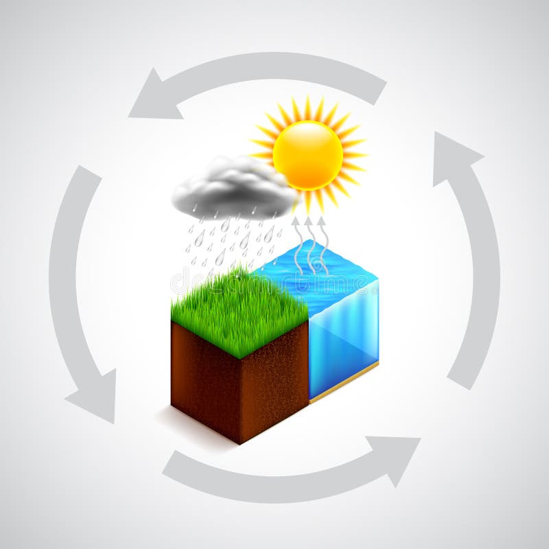 Vector Schema Of The Water Cycle In Nature Stock Vector - Illustration ... Vector Schema Of The Water Cycle In Nature Stock Vector - Illustration ...