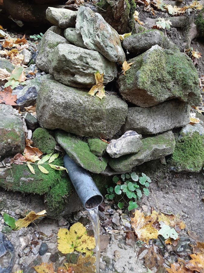 Nature, Water, Forest, Stones, Spring. Stock Photo - Image of nature ...