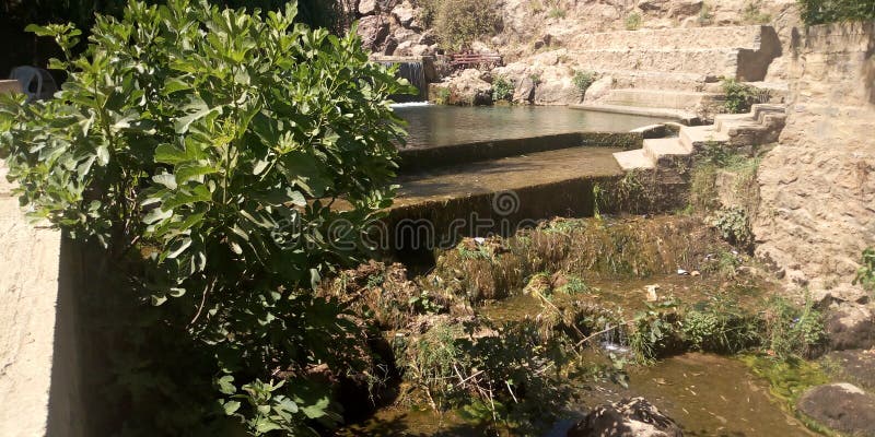 Naturedoc Stock Photos - Free & Royalty-Free Stock Photos from Dreamstime