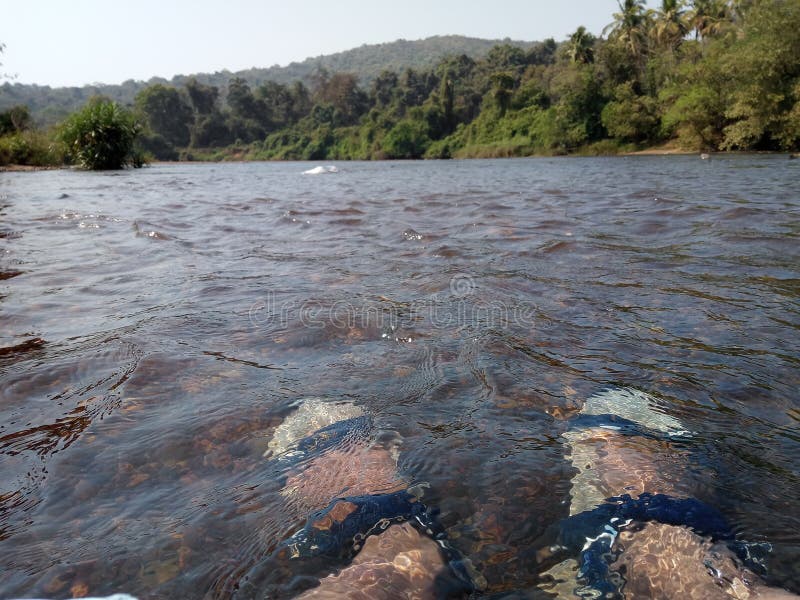 Nature Water River Forest View Stock Image - Image of river, water ...