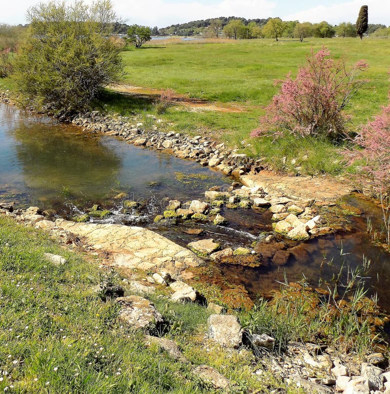 Nature stock photo. Image of create, transform, green - 90927168