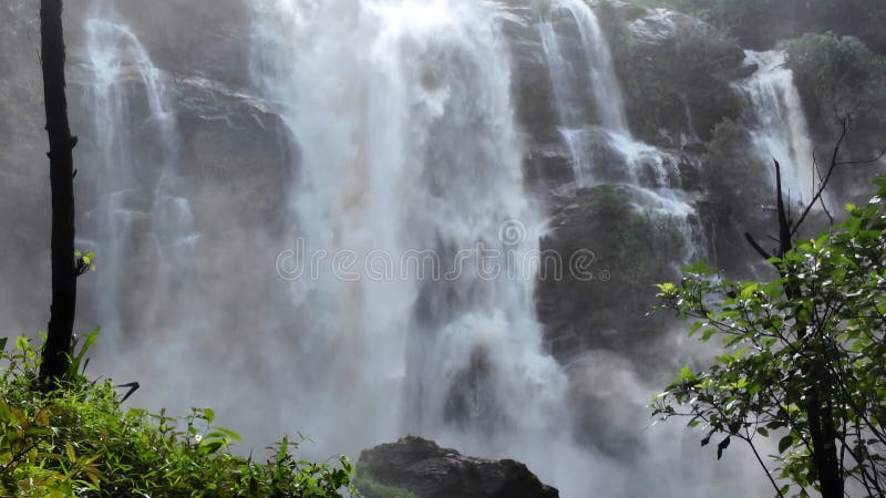 The Nature of the Waterfall in the Forest that Flows Strongly during ...