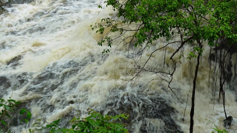 The Nature of the Waterfall in the Forest that Flows Strongly during ...