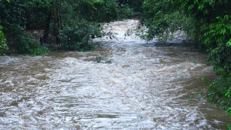 The Nature of the Waterfall in the Forest that Flows Strongly during ...
