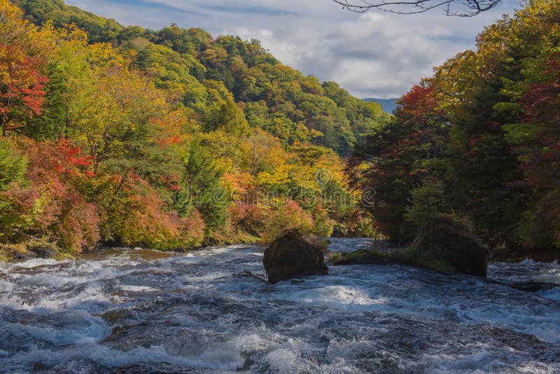 Nature Waterfall in the Forest Water Stream. Season in Nikko Japan ...