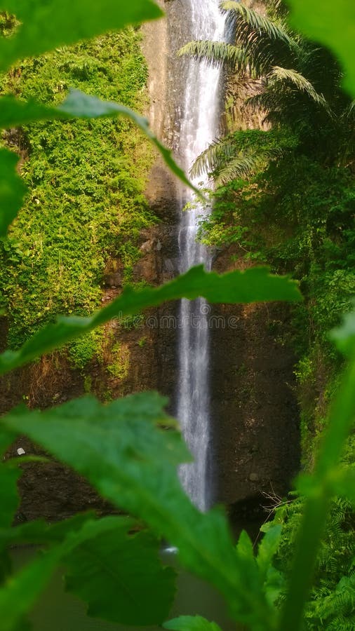 Nature Waterfall with Green Leaf in Other Side Stock Photo - Image of ...