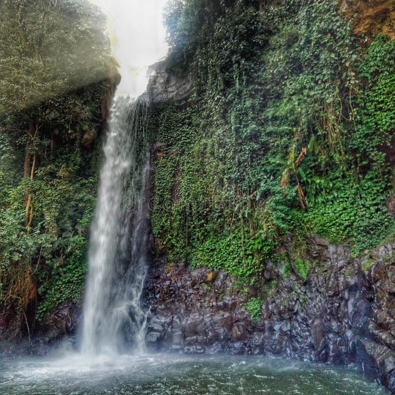 Nature Waterfall and Lush Greenery Stock Image - Image of nature ...