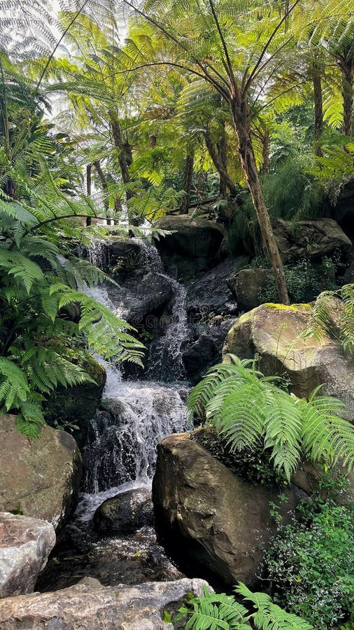 Nature Waterfall in a Small Forest with Rocks beside the Waterflow ...