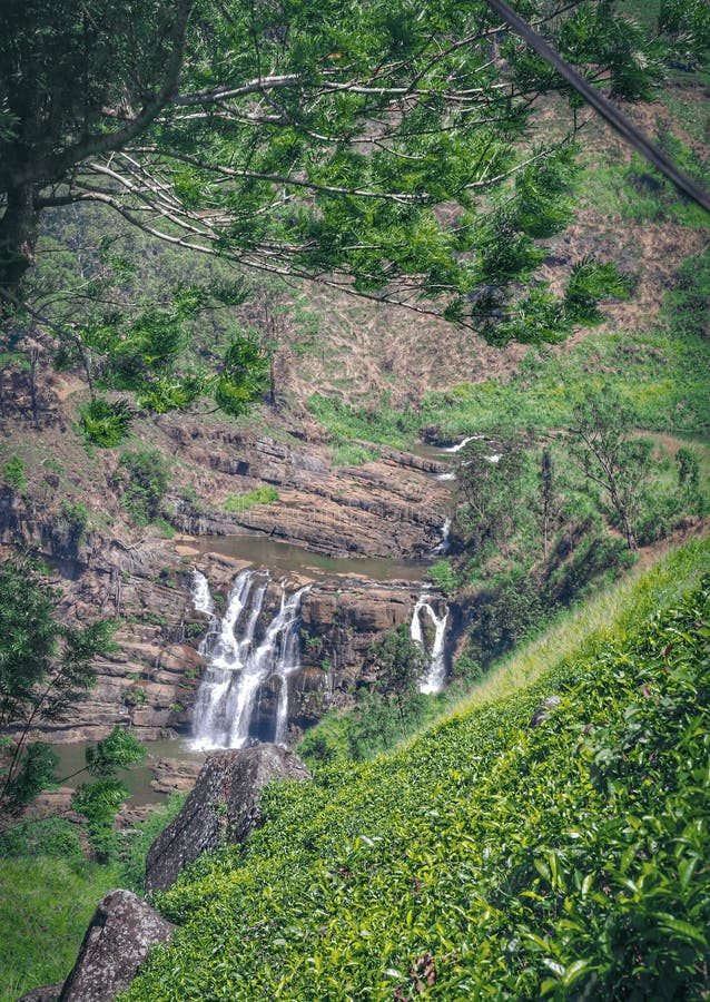 Nature Waterfall with Tea Plants Wallpaper Stock Photo - Image of ...