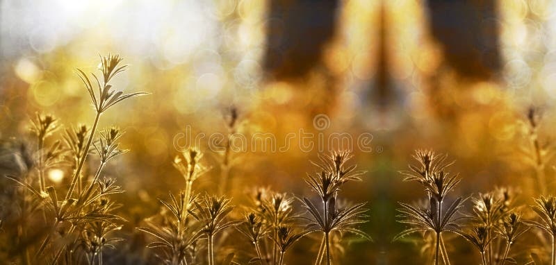 Nature website banner stock image. Image of outdoors - 74960329