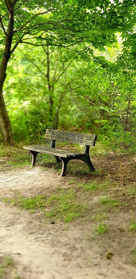 Nature, Weg, Park, Loneliness, Bench Stock Photo - Image of bench ...