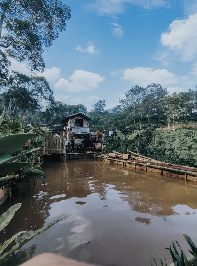 Nature in the west java stock image. Image of java, nature - 230156263