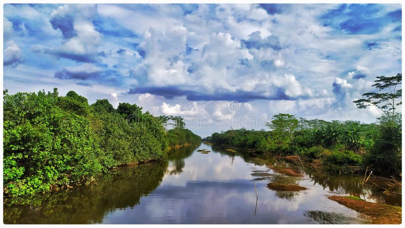 Nature Where All Creatures To Survive Stock Image - Image of mirror ...