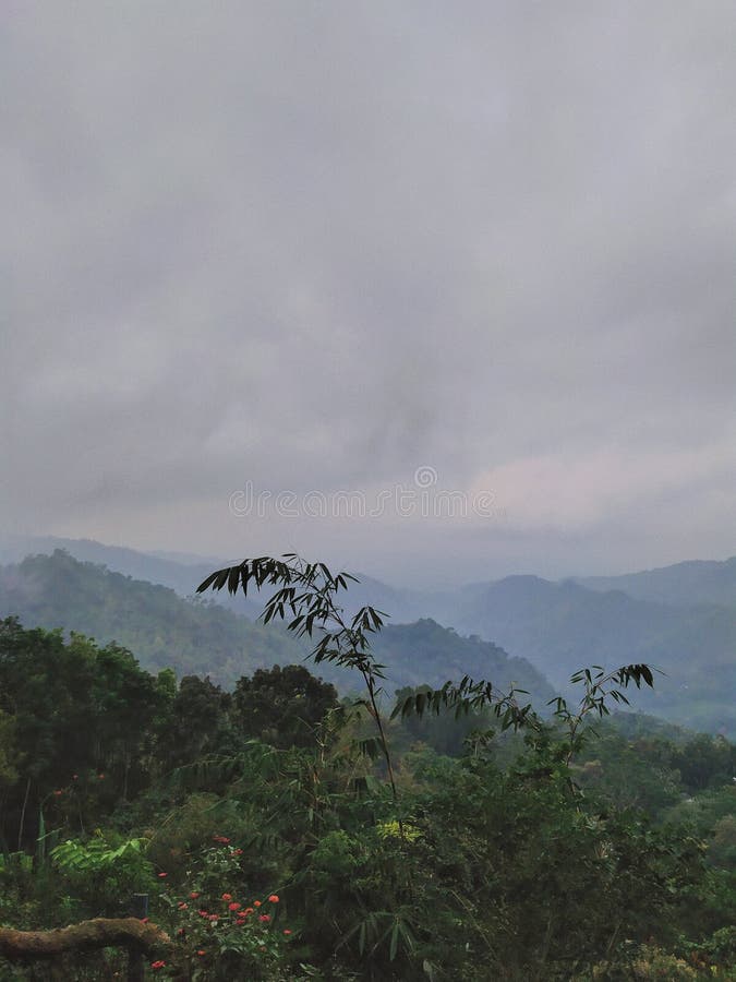 The Nature is Where we Belong. Stock Image - Image of seek, nature ...