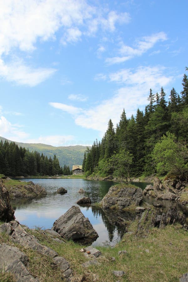 Nature, Wilderness, Water, Nature Reserve Picture. Image: 136081125