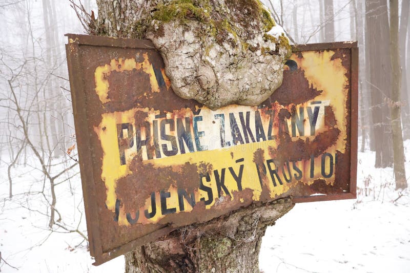 Sign in the forest stock image. Image of plant, wood - 355940303