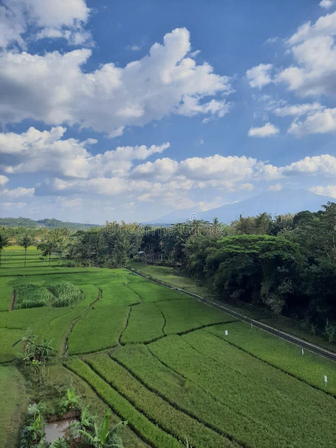 Earth get well soon.. stock photo. Image of mountain - 227876162