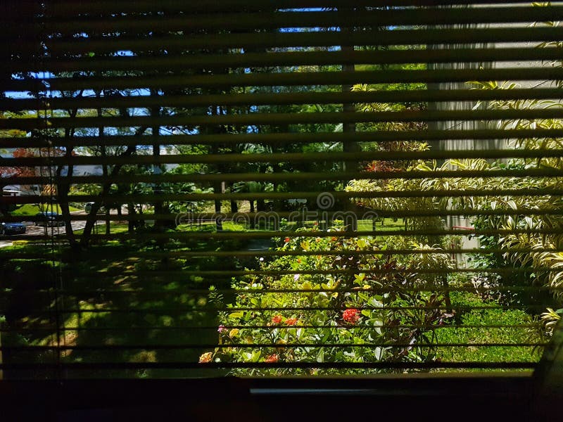 Nature through the Window stock photo. Image of daylight - 104555390