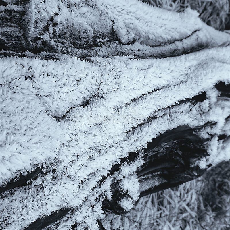 Nature Backgrounds Free Download Stock Photos - Free & Royalty-Free ...