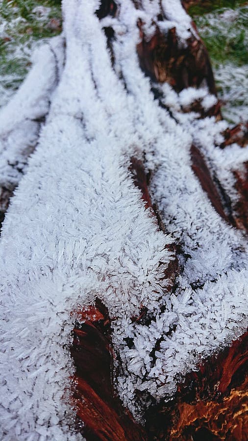 Nature Winter Ice Abstracts Backgrounds Closeup Stock Photo - Image of nature, winter: 263673978