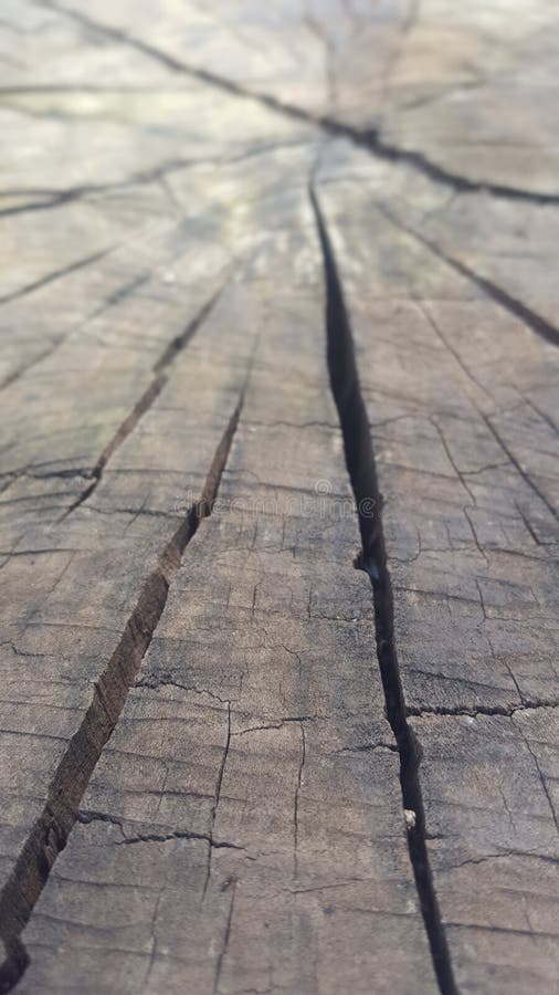 Nature wood Cracks stock image. Image of flooring, nature - 185251365