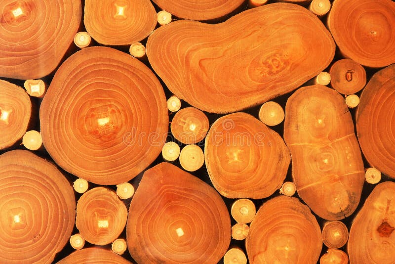 Nature Wood Pattern for Background. Stock Photo - Image of abstract ...