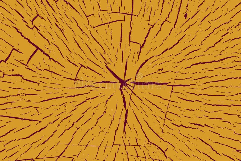 Nature Wood Pattern, Tree Cutting, Wood Texture Stock Illustration ...