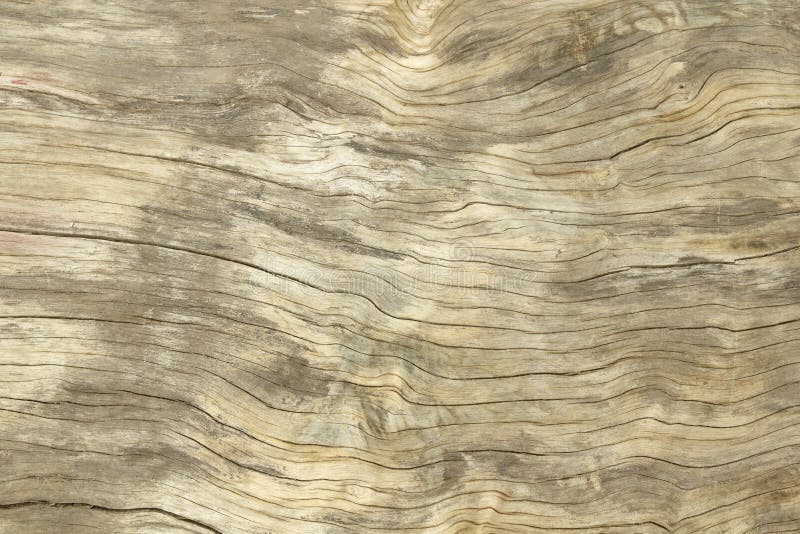 Nature Wood Texture Work Space Surface Stock Image - Image of table ...