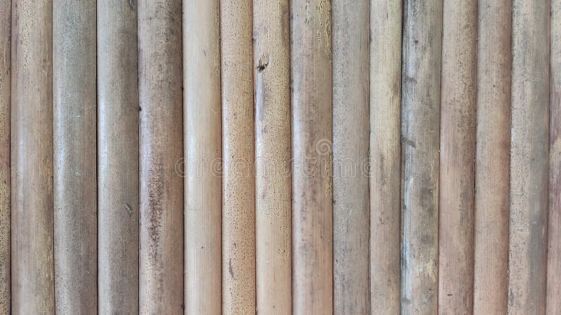 Nature wood vertical stock photo. Image of wall, flooring - 231831742