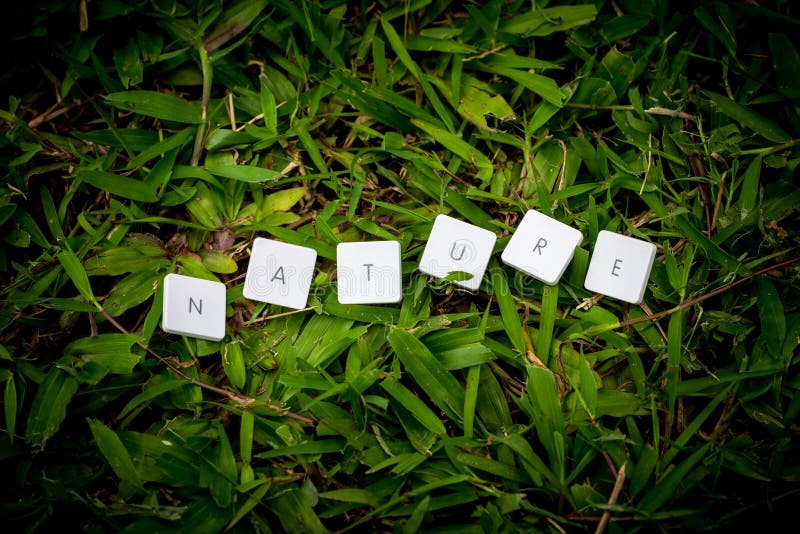 Nature wording stock image. Image of concept, organic - 83794655