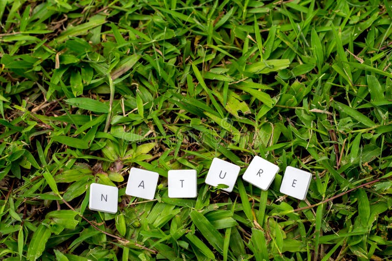 Nature wording stock image. Image of concept, field, organic - 83795435