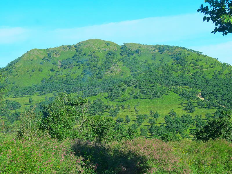 Nature of the world stock photo. Image of environment - 72089158