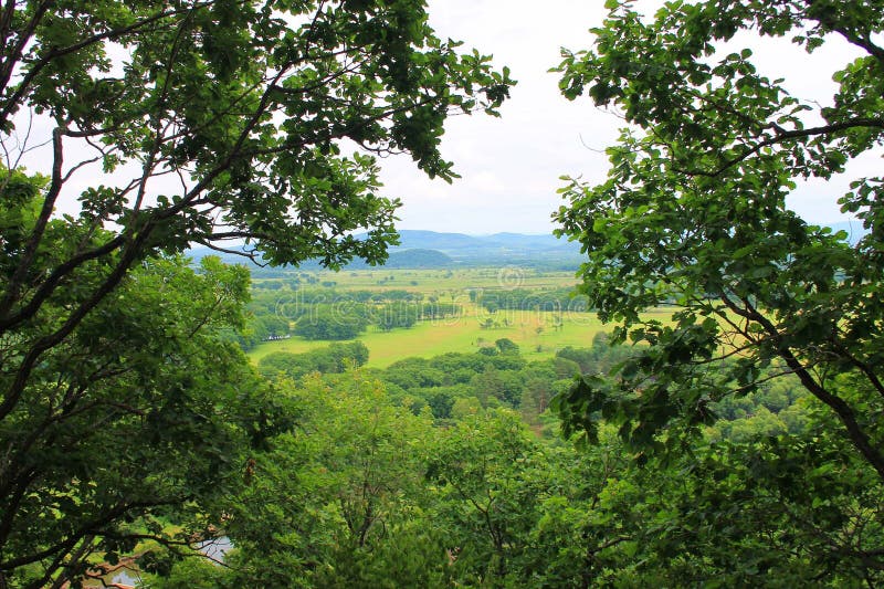 Nature of the world stock image. Image of single, beautiful - 96664207