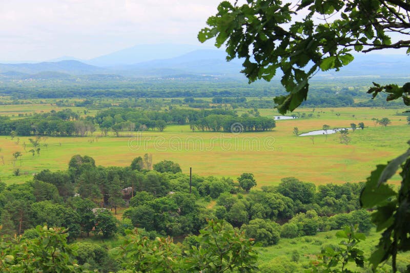 Nature of the world stock image. Image of plant, meadow - 96677715