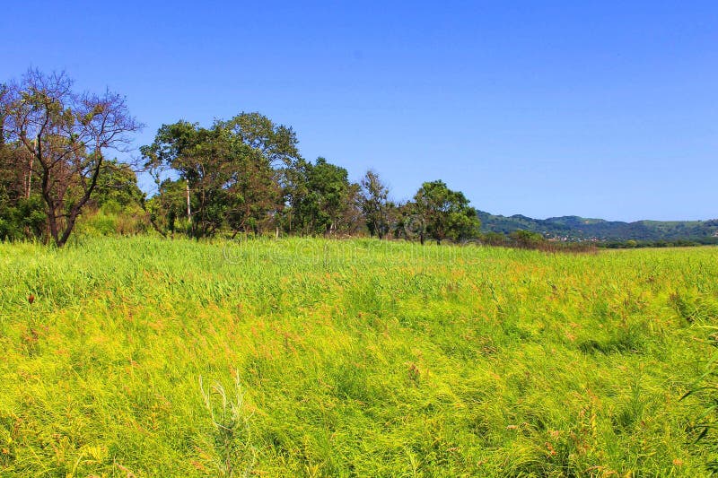 Nature of the world stock image. Image of nvironment - 97662215