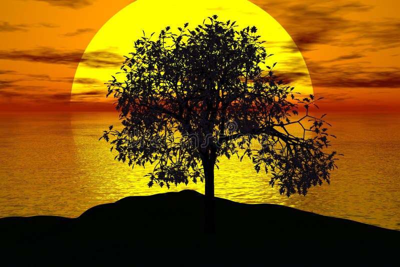 Nature, Yellow, Sky, Sunset Stock Photo - Image of sunset, calm: 92525936