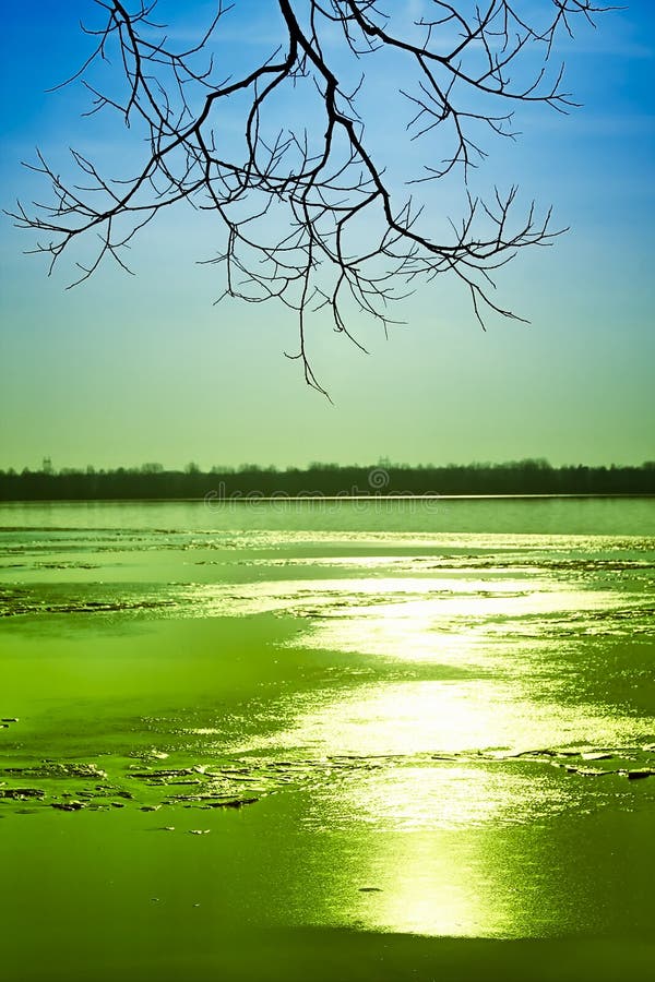 Nature Zone Sign Caleta De Fuste Stock Image - Image of exit, nature ...