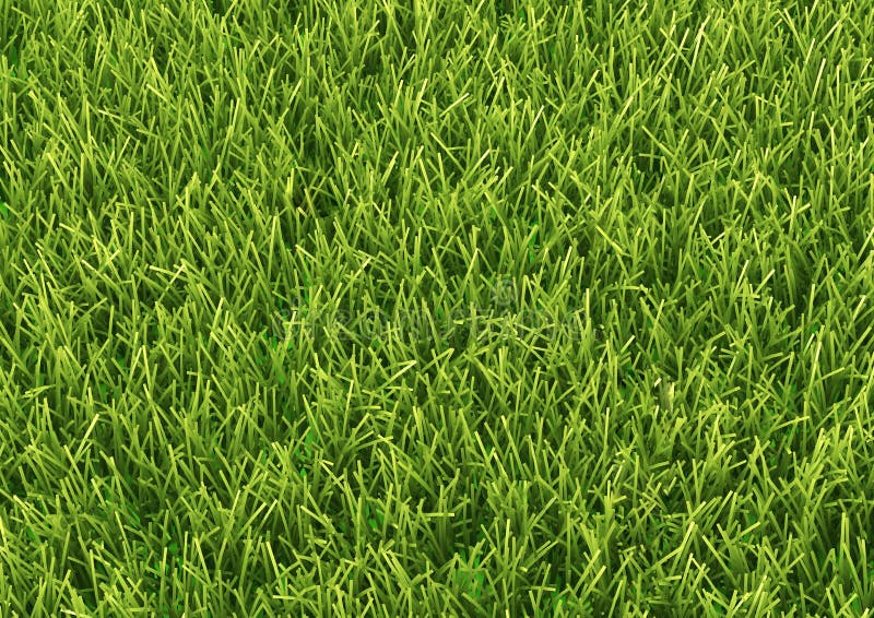Natured Green Grass Field Texture Backdrop Background Stock Photo ...
