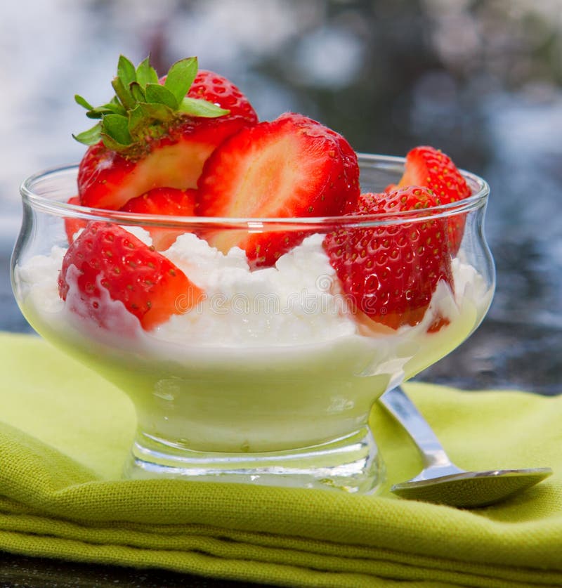 Naturel curd stock photo. Image of nature, garden, dessert - 26792492