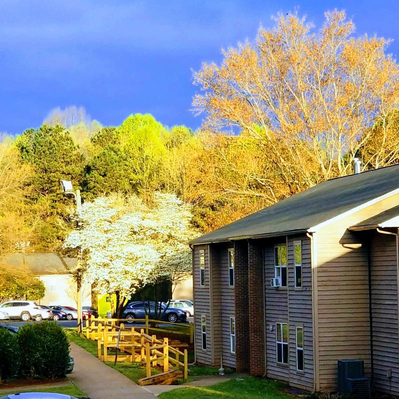 Natures Bright days stock image. Image of suburb, estate - 198537539