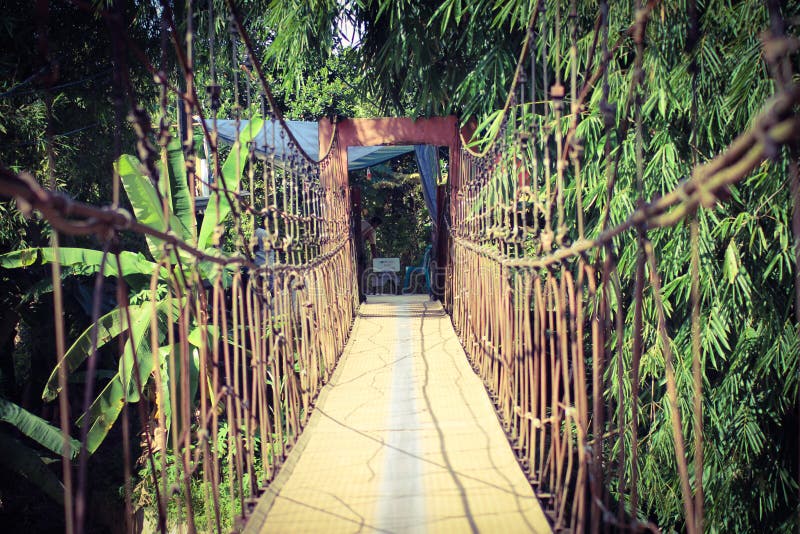 Suspension Bridge between Bamboo Forest Stock Image - Image of natures ...