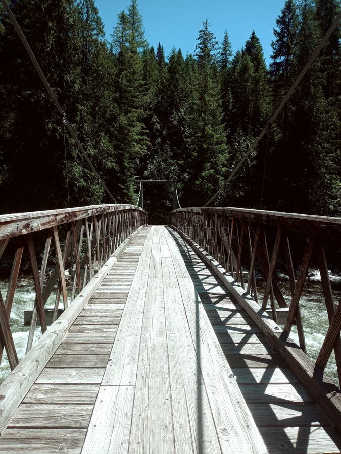 Natures Crossway Stock Photos - Free & Royalty-Free Stock Photos from ...